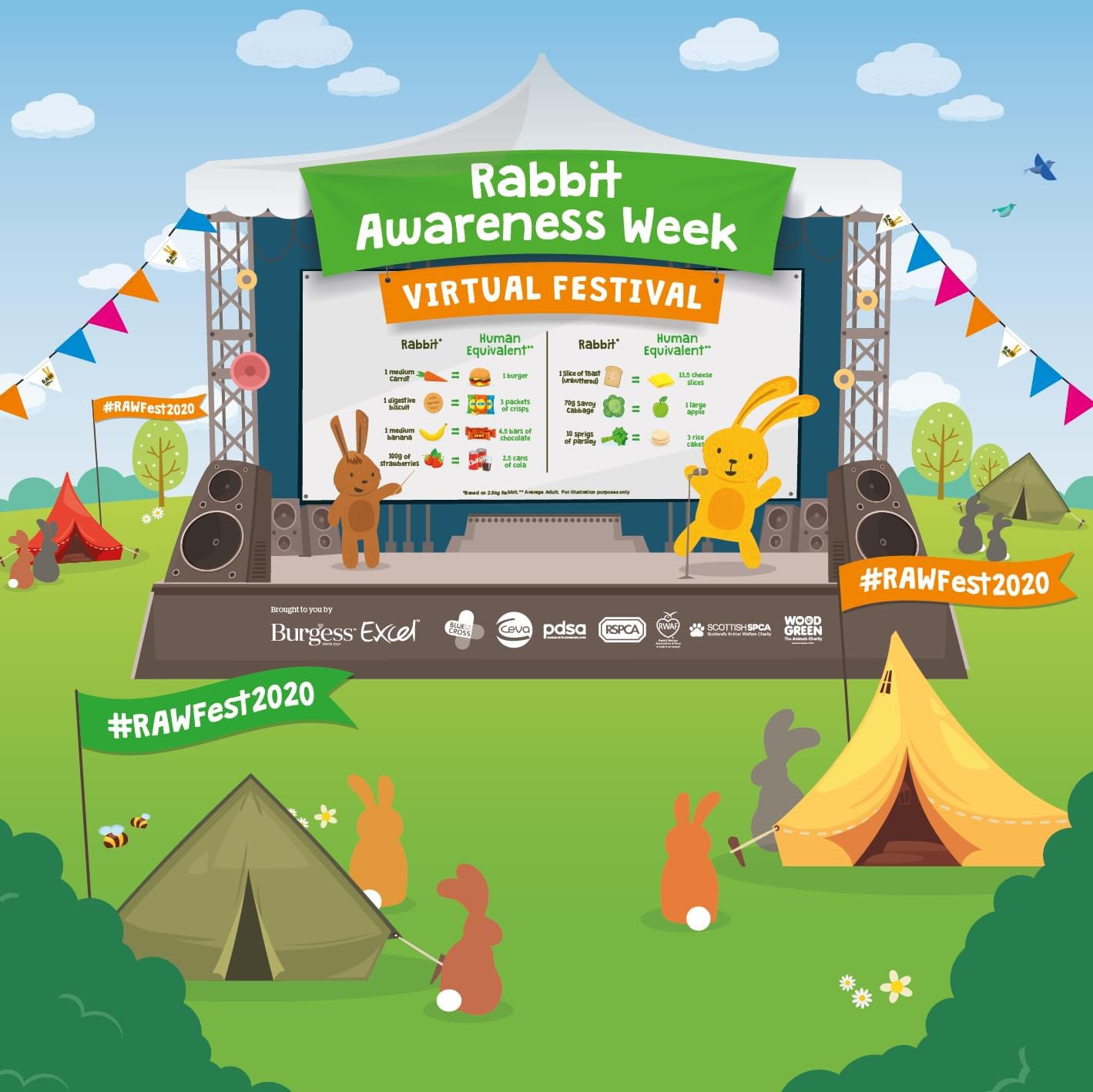 Rabbit Awareness Week 2020 - Blythman & Partners